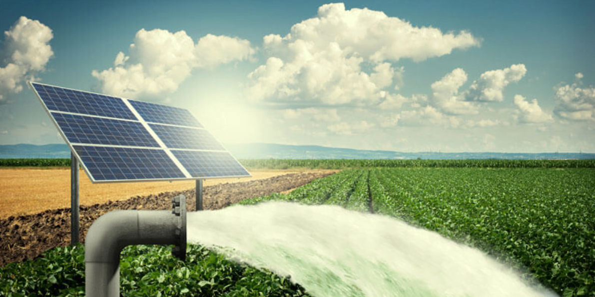 Services – Lea Energy